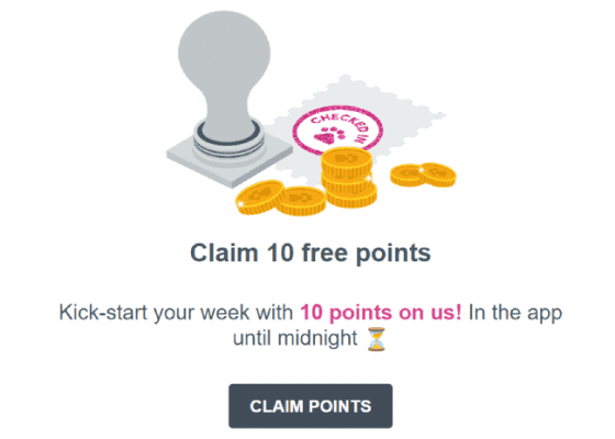 Curious Cat App Review & Money Making Guide - Earnologist